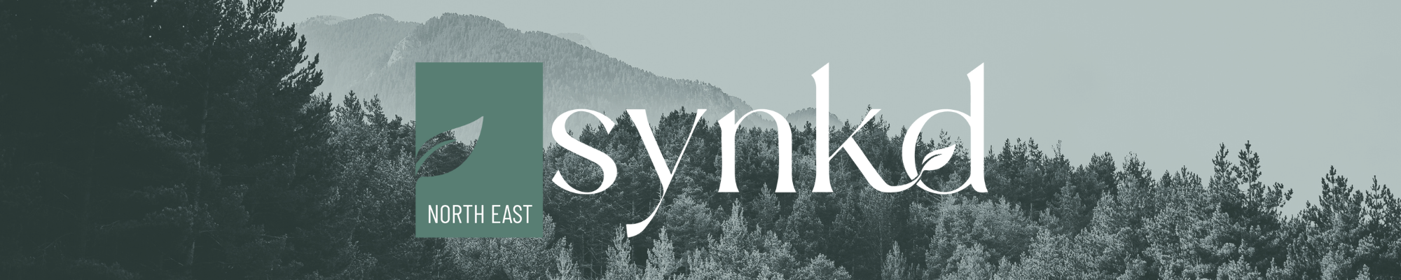 Northeast | SYNKD